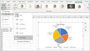 How to make an Excel pie chart with percentages