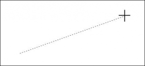 PowerPoint Line: Straight, Elbow, Curve, Freeform, Scribble